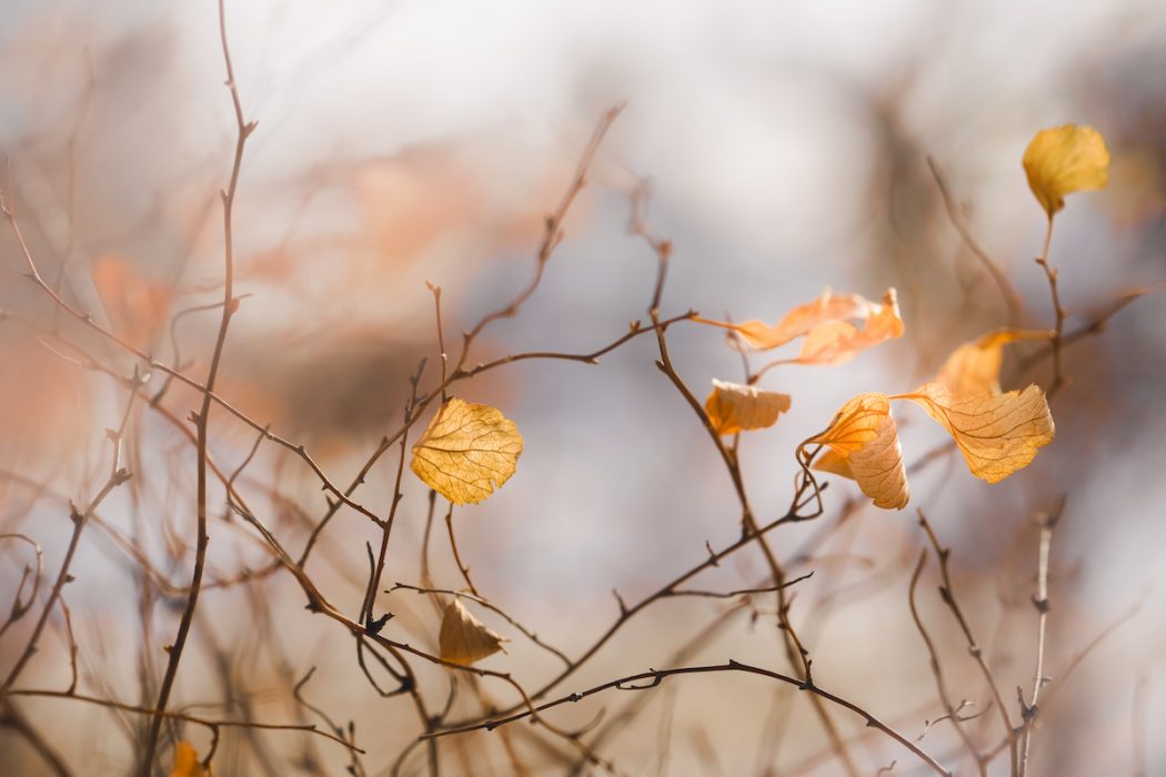 Visual Voice Photography Workshop