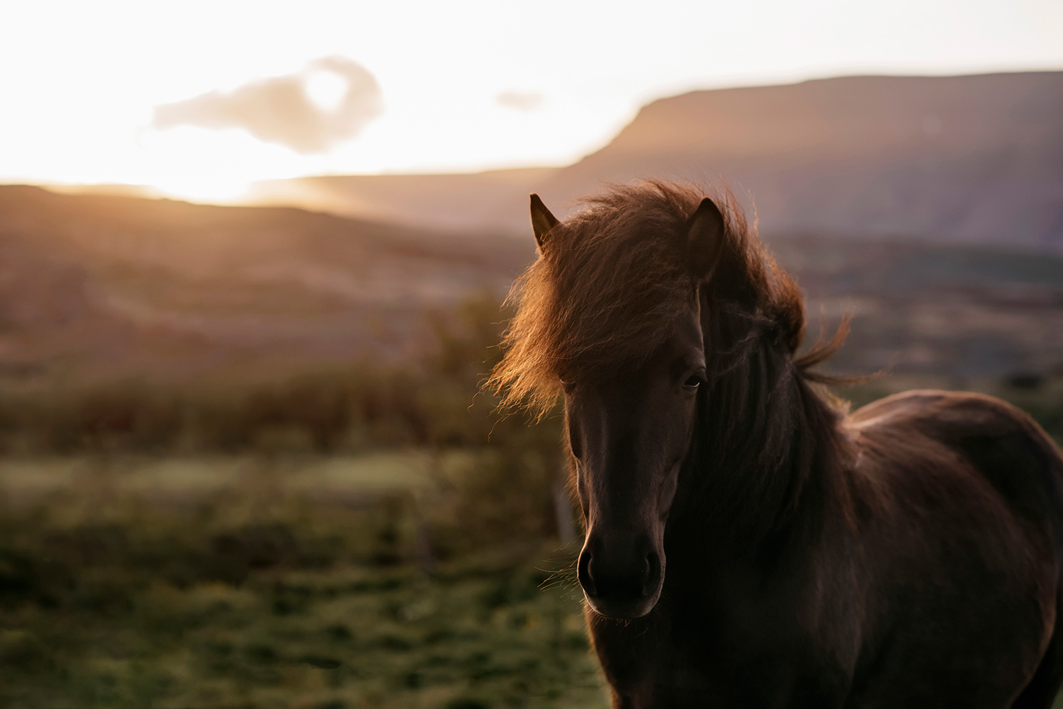 Magical Light: A Comprehensive Guide to Backlight