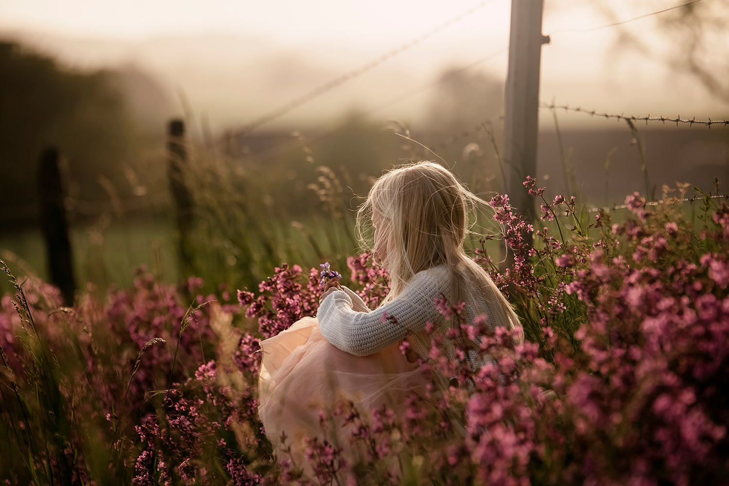Magical Light: A Comprehensive Guide to Backlight