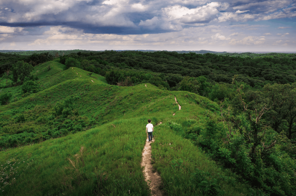 Click Photo School Workshops - Click Photo School