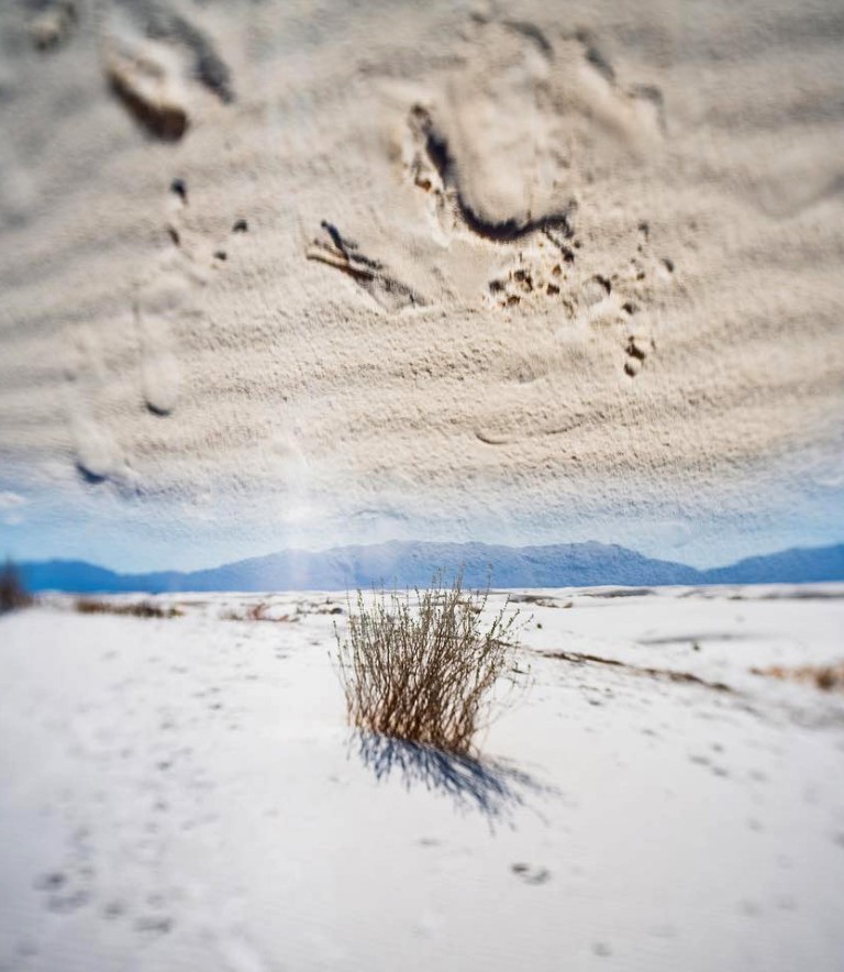 Shifting Perspectives