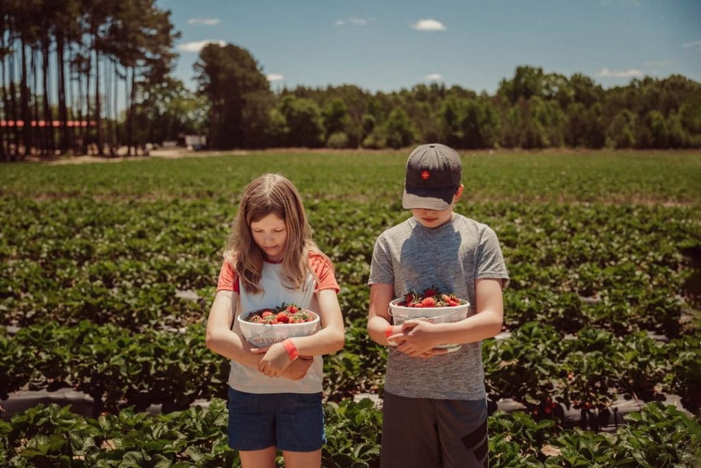 Simple, Compelling Family Photography