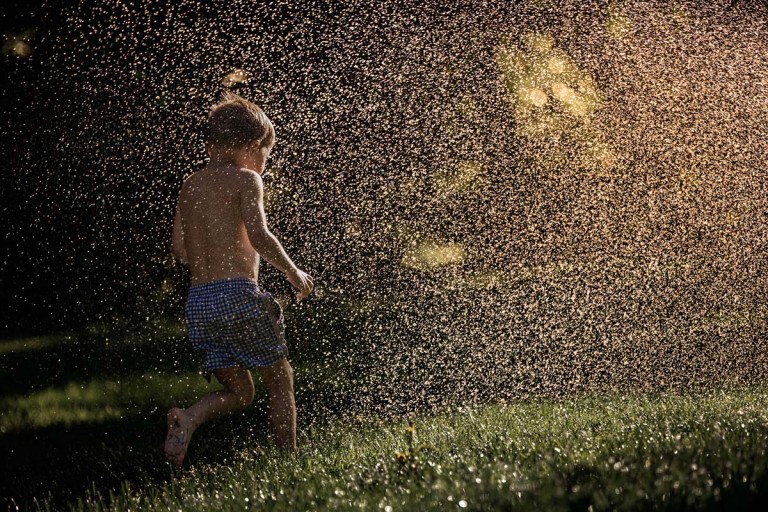 Color and Exposure: Building a Strong Foundation for Everyday Photography